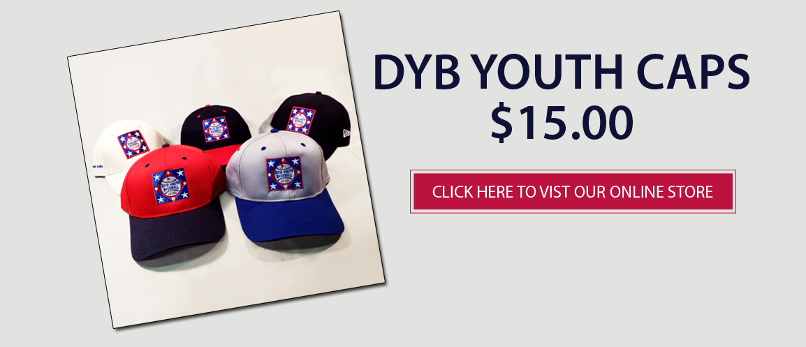 DYB - Premier Recreational Youth Baseball - Community Based - Southwest ...