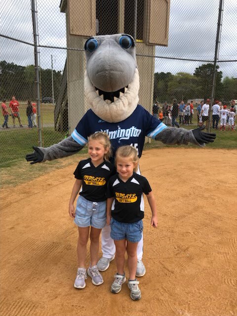 DYB - Premier Recreational Youth Baseball - Community Based - United ...