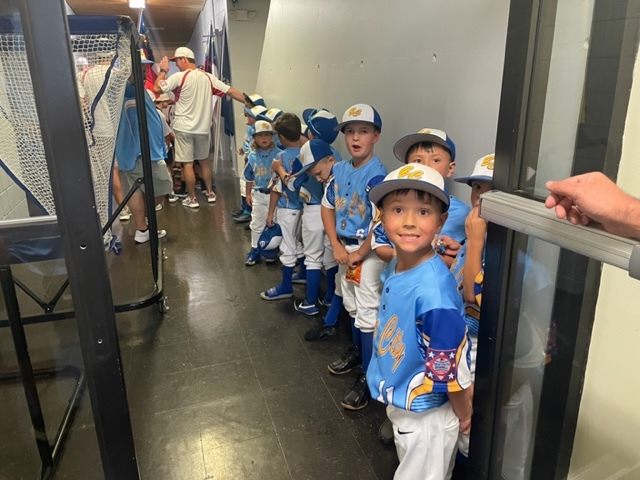 DYB - Premier Recreational Youth Baseball - Community Based - United ...