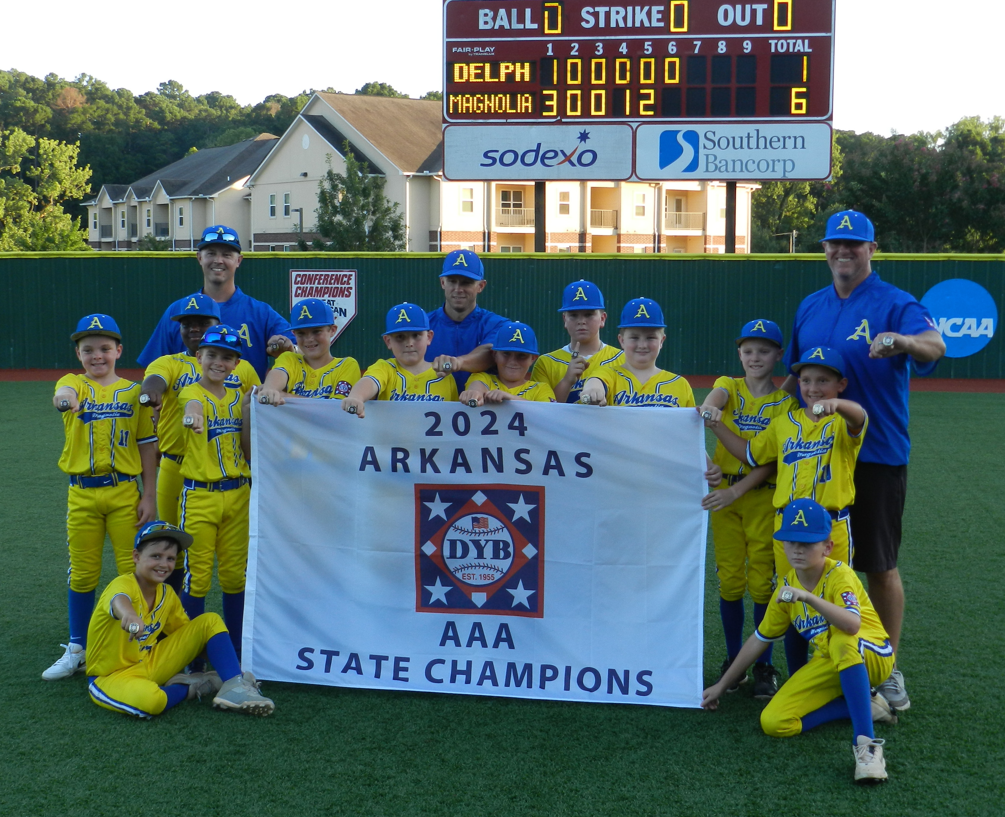 Diamond Youth Baseball (DYB) - Premier Recreational Youth Baseball ...